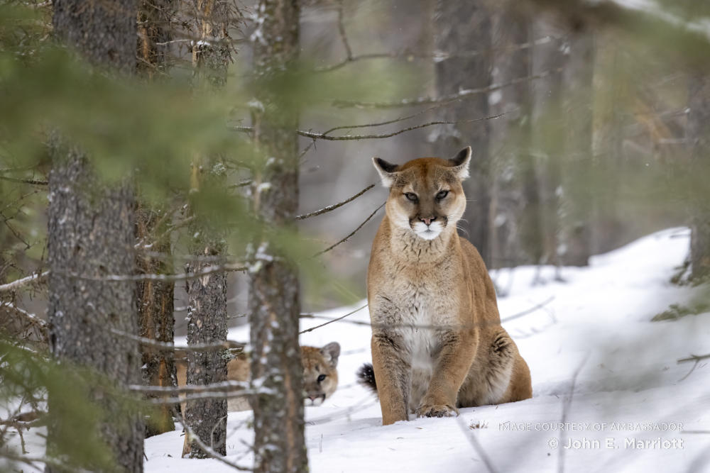 Exposed Wildlife Conservancy